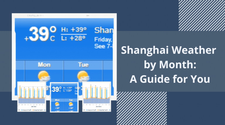 Shanghai Population & Density Data Overview in 2024
