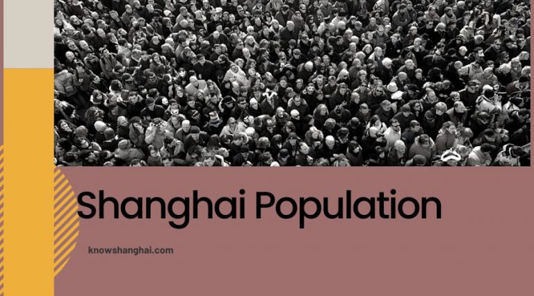 Shanghai Population & Density Data Overview in 2024
