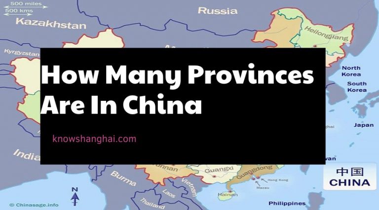 Shanghai Population & Density Data Overview in 2024