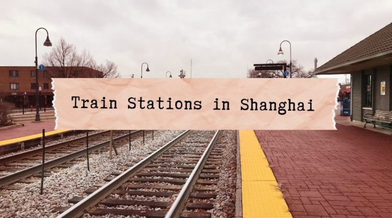 Shanghai Population & Density Data Overview in 2024